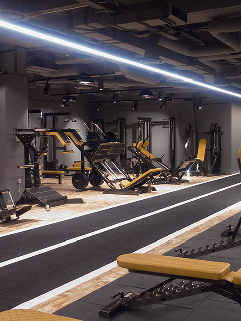 Inox Lighting | Seamless | Recessed | Spotlights | LED